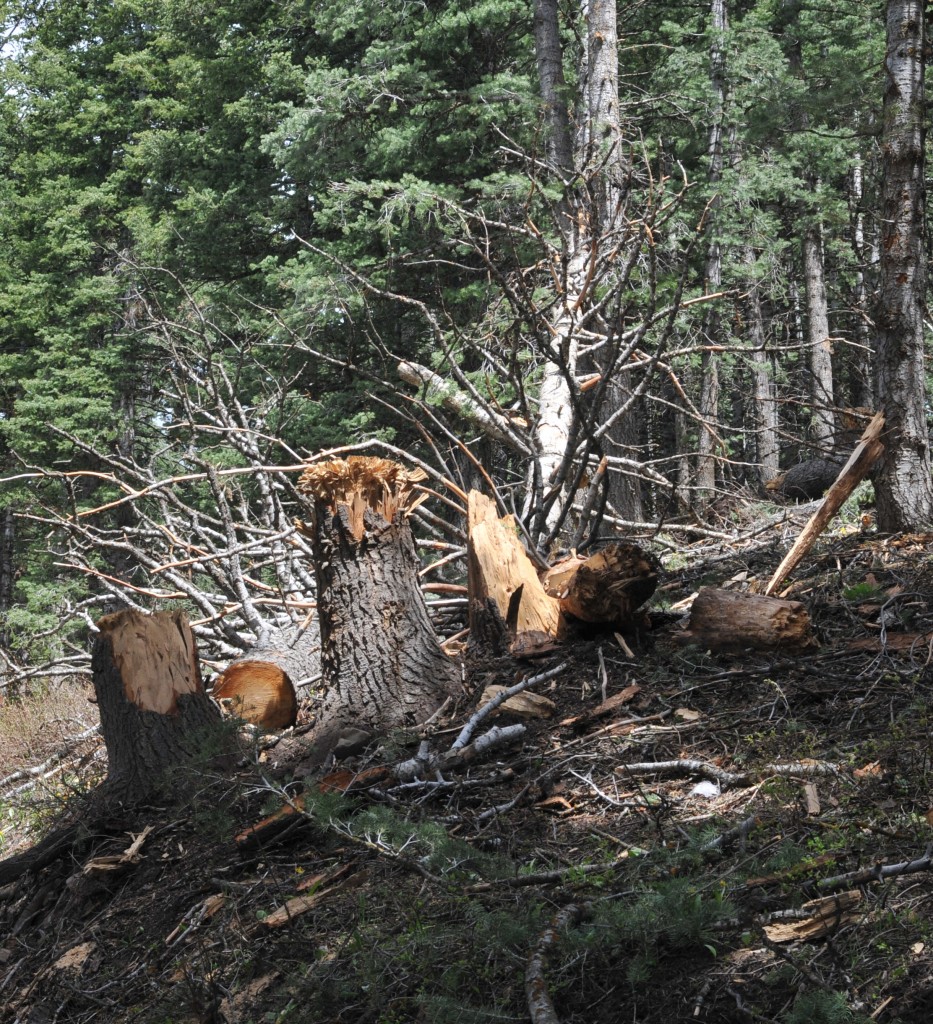 Spiffying up the Alpine Loop | UDOT