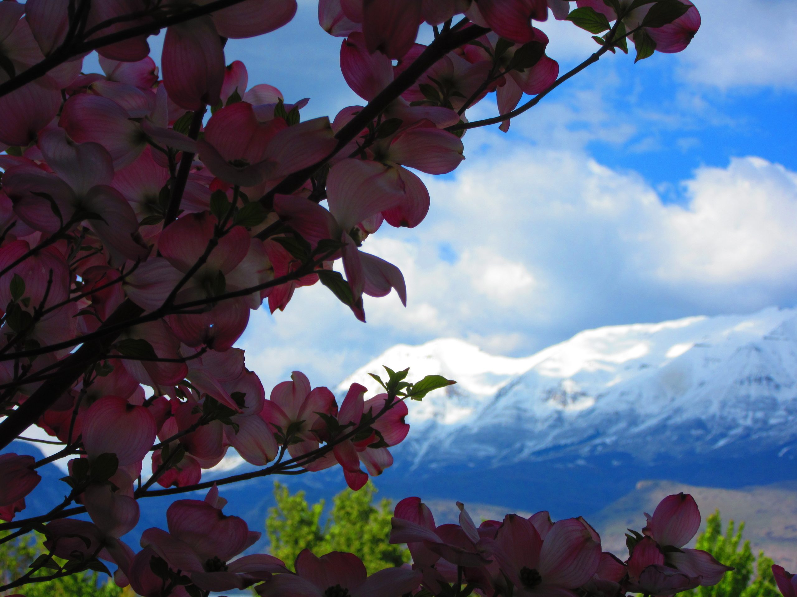 UDOT urges drivers to plan ahead for Memorial Day traffic | UDOT